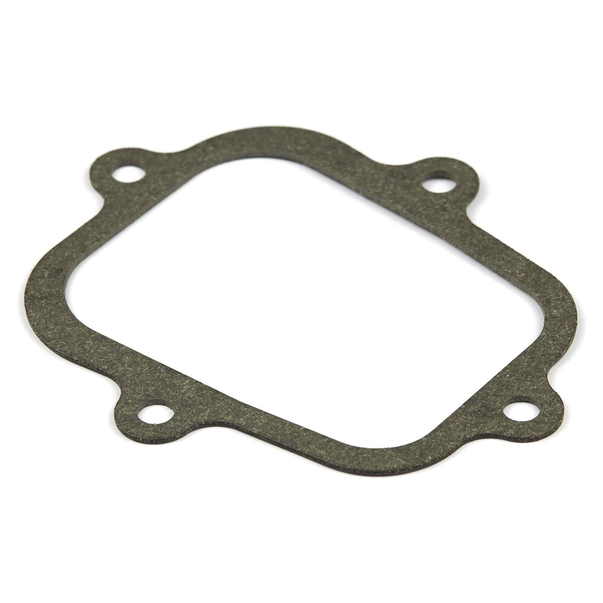 Briggs & Stratton Lo206 / Animal WF Valve Cover gasket 691890 – Krybaby ...